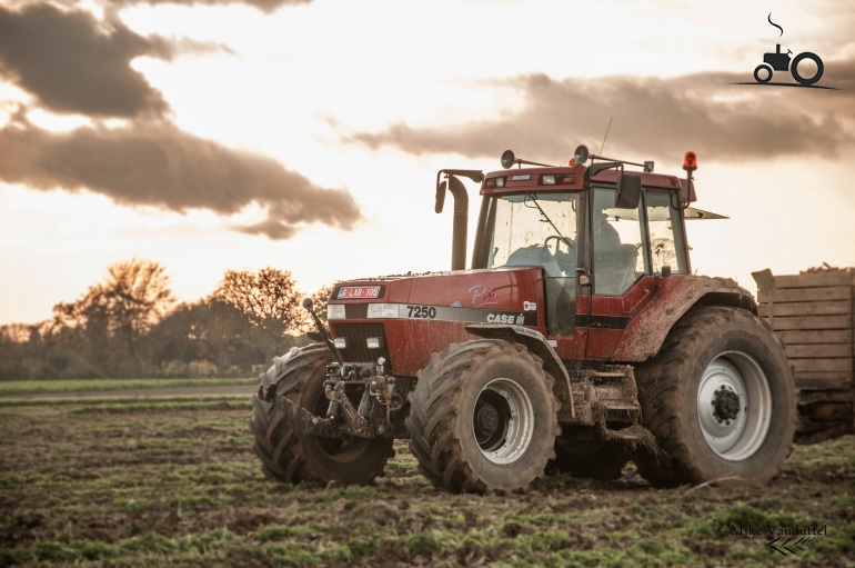 Foto Case International Magnum 7250 Pro #1321532