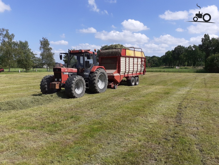 Foto Case International 856 XL #1476139