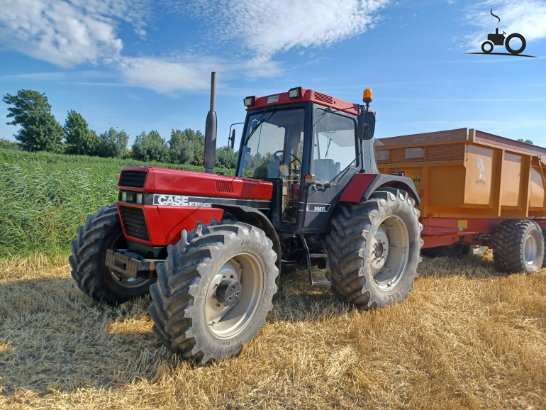 Foto Case International 956 XL #1482848