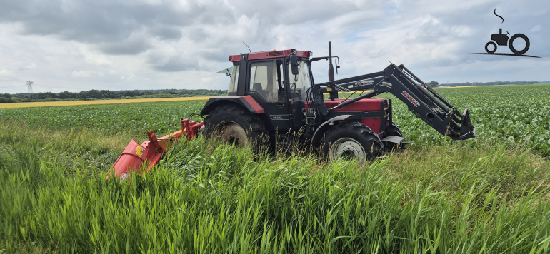 Foto Case International 956 XL #1625817