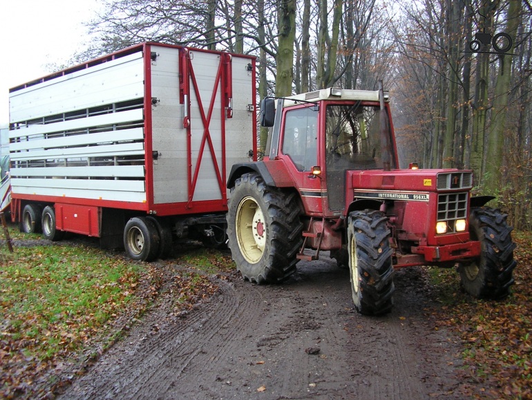 Foto International 956 XL #296899