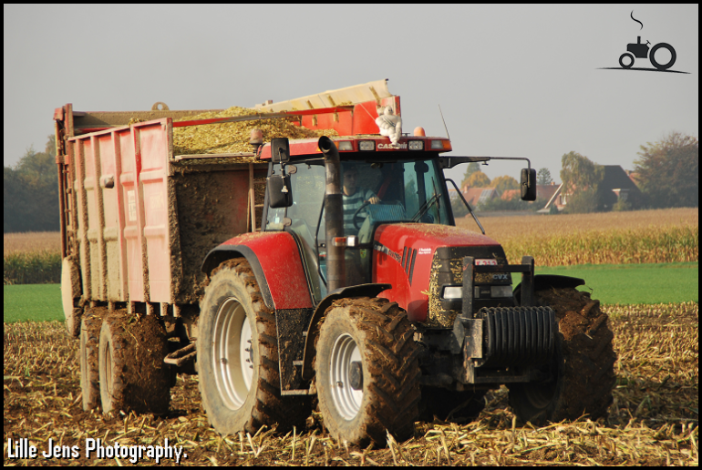 Foto Case IH CVX 1195 #1243822