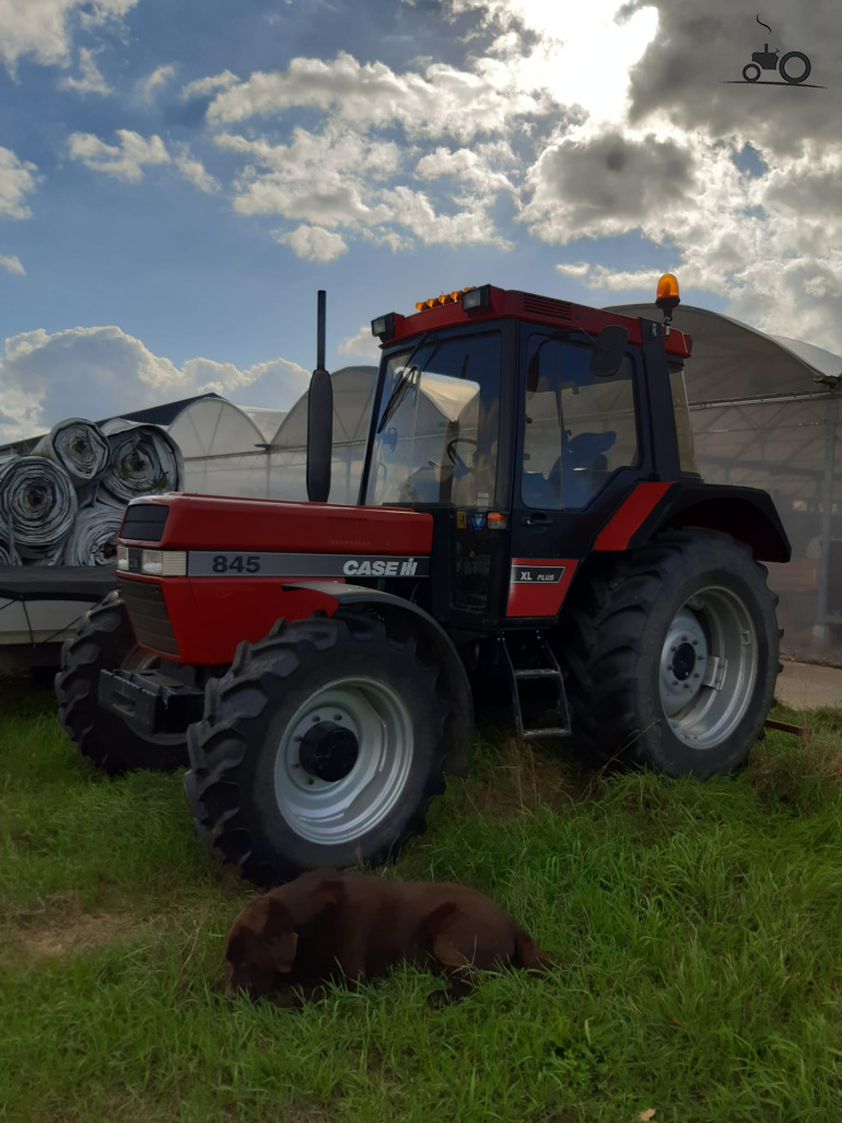 Foto Case International 845 XL Plus #1493326