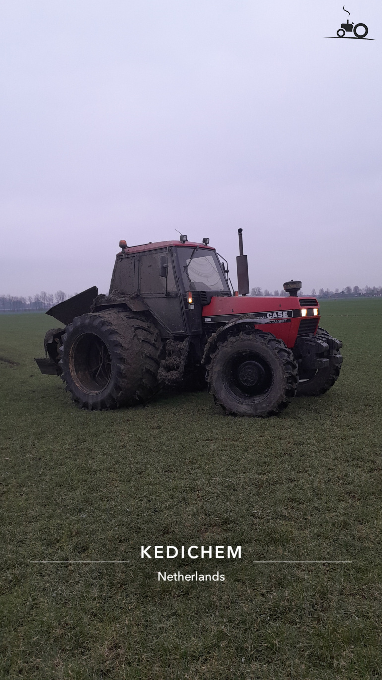Foto Case International 1594 #1508347