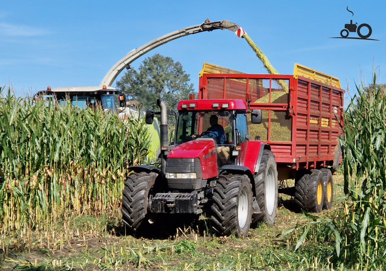 Foto Case IH Maxxum MX 150 #1537426