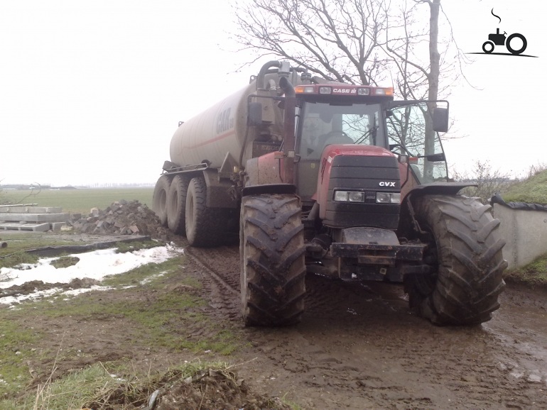 Foto Case IH CVX 1195 #311831