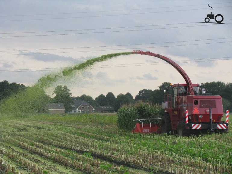 Foto Case IH Mammoth 8790 #686951