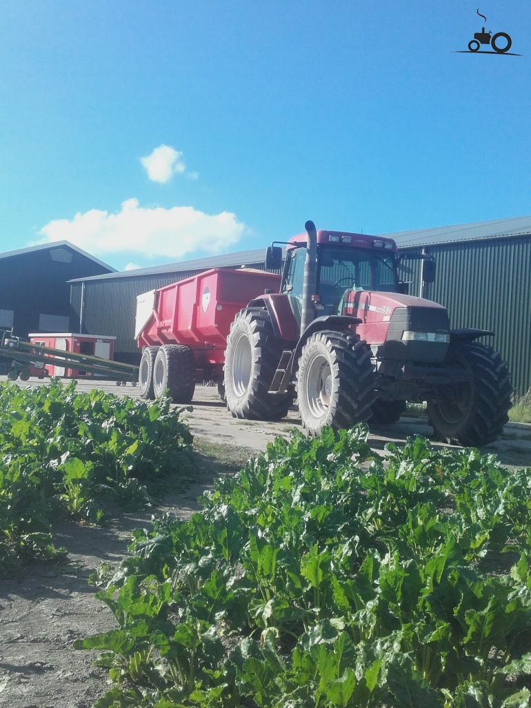 Foto Case IH Maxxum MX 150 #976659