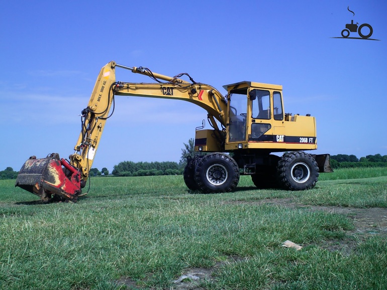 Foto Cat 206 #436764