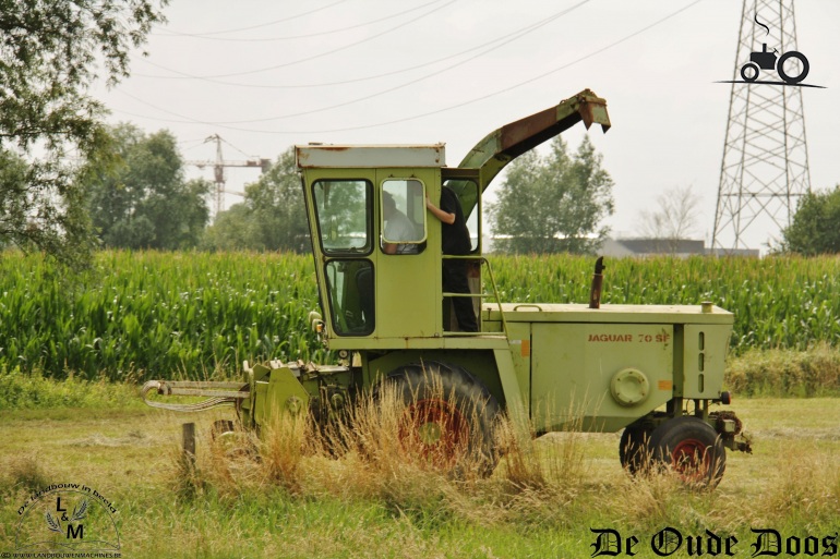 Foto Claas Jaguar 70 SF #1362702