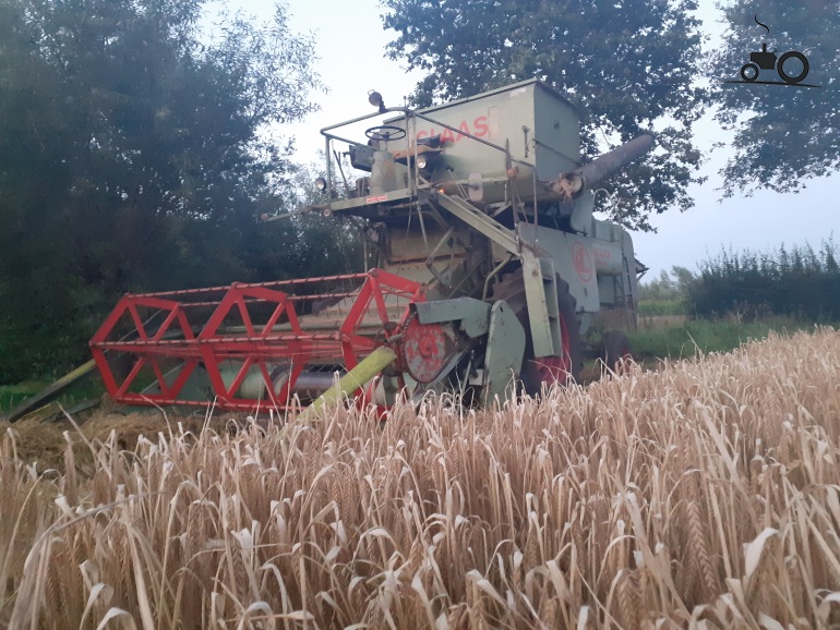 Foto Claas Matador Gigant #1474003