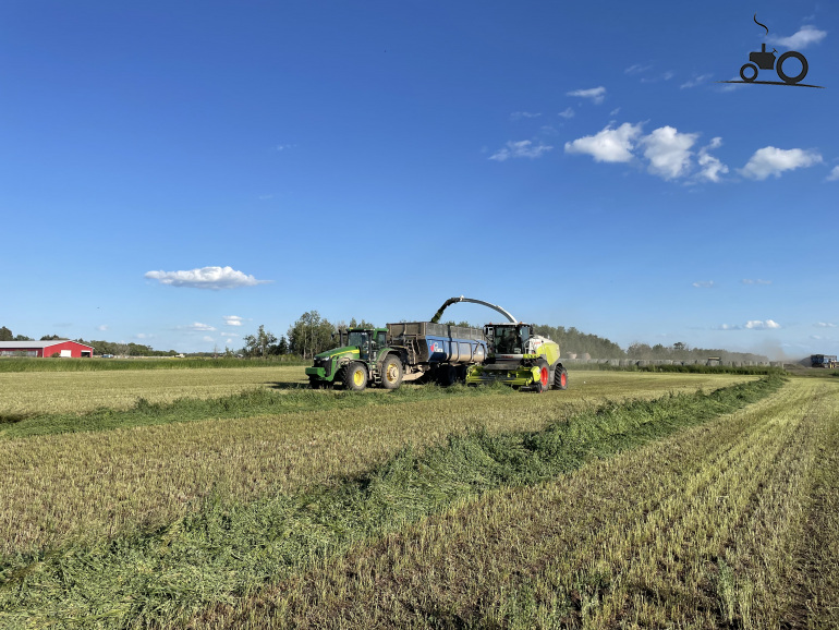 Foto Claas Jaguar 980 #1479195