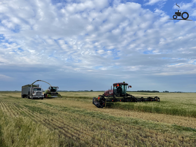 Foto Claas Jaguar 980 #1483372