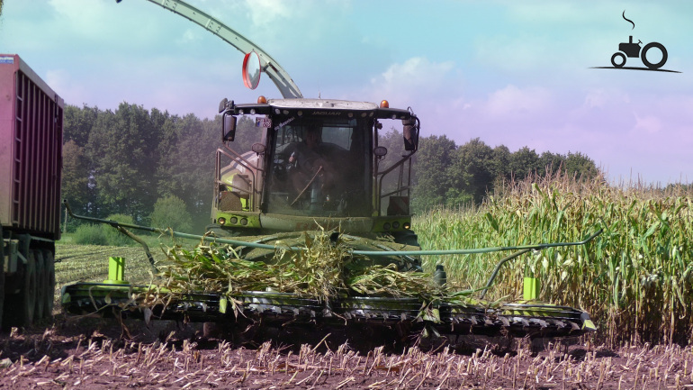 Foto Claas Jaguar 960 #1489995