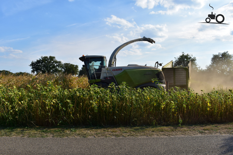 Foto Claas Jaguar 940 #1491052