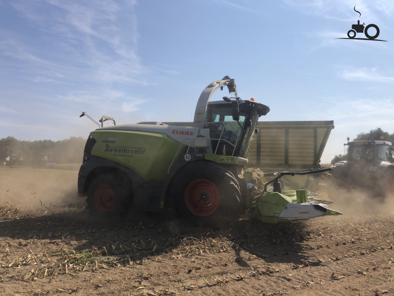 Foto Claas Jaguar 950 van Loon- en Landbouwmechanisatiebedrijf Westerveld