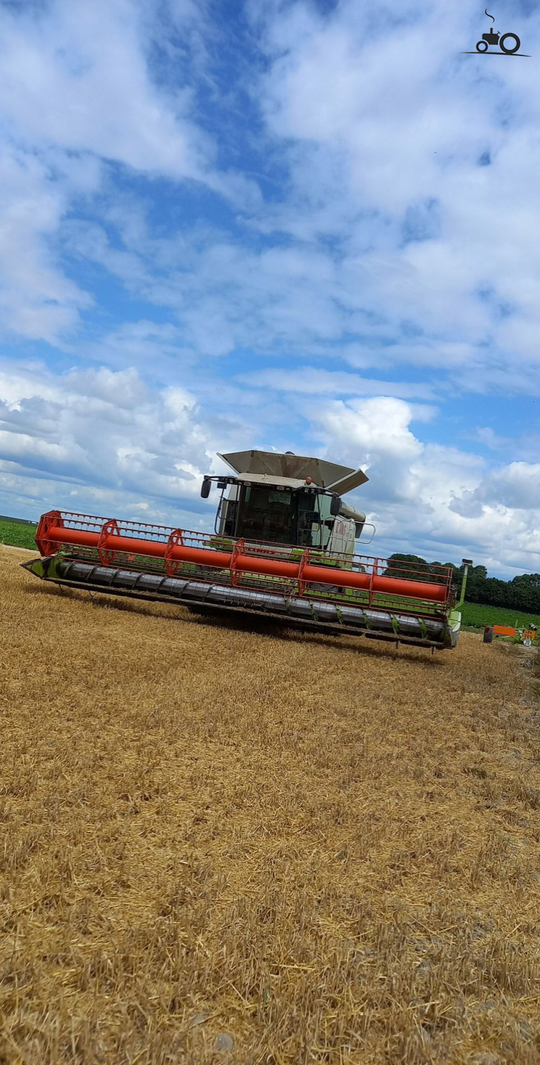 Foto Claas Lexion 600 #1503795