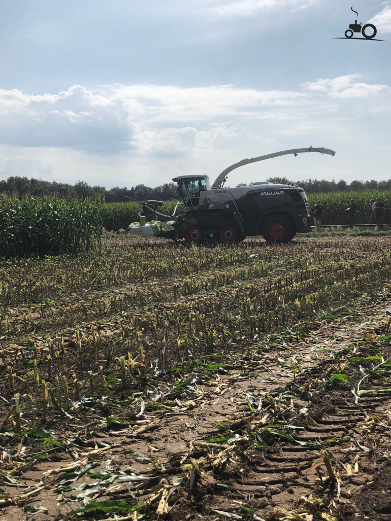 Foto Claas Jaguar 990 #1537541