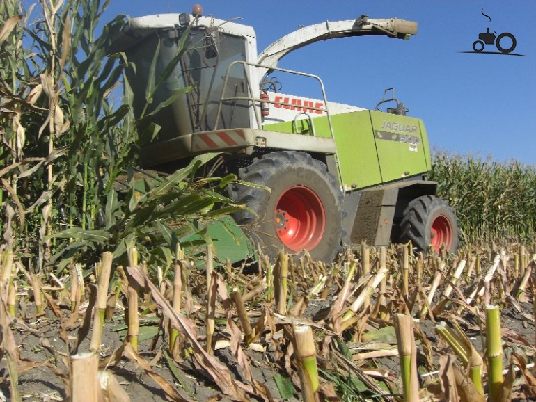 Foto Claas Jaguar 900 greeneye #309155