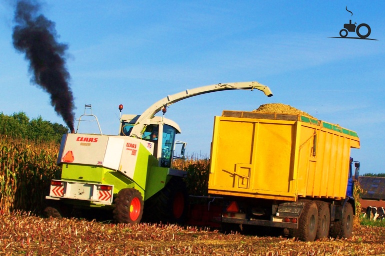 Foto Claas Jaguar 880 #323259