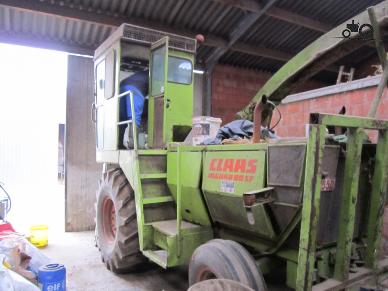 Foto Claas Jaguar 80 SF #595584