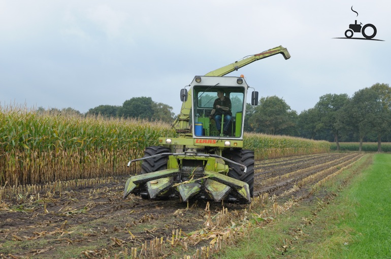 Foto Claas Jaguar 80 SF #738666