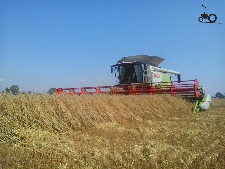 Foto Claas Lexion 770 #784494