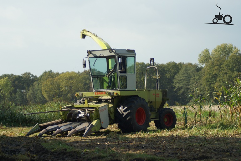 Foto Claas Jaguar 80 SF #873592