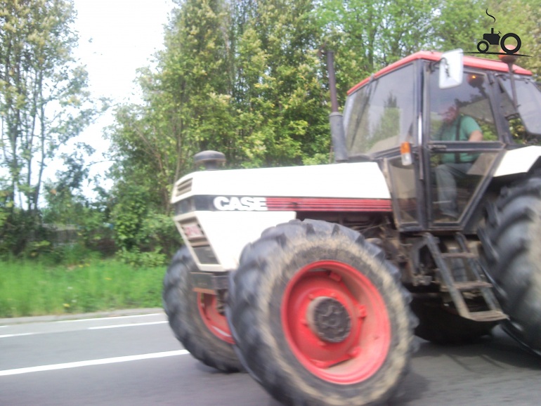 David Brown 1594 - United Kingdom - Tractor picture #354563