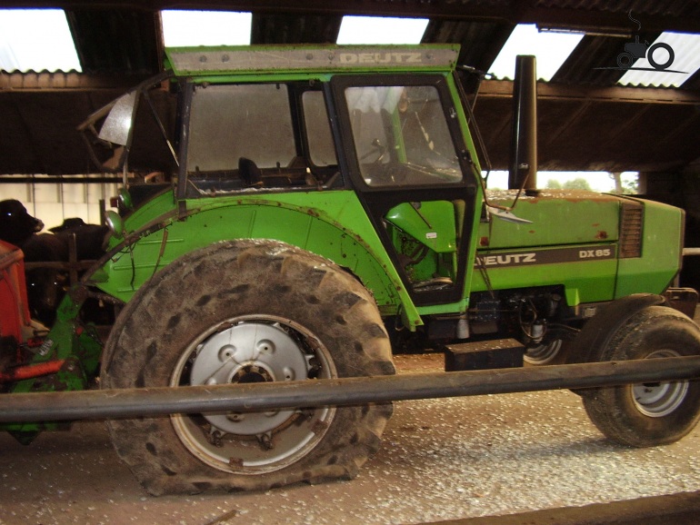 Deutz DX 85 - France - Tracteur image #134260
