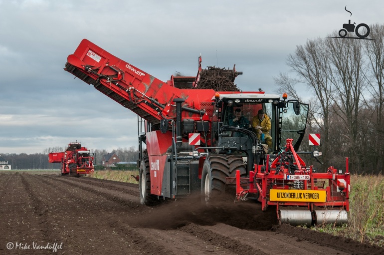 Foto Dewulf RA3060 van Loonbedrijf Weltjens