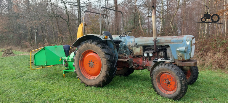 Foto Eicher Büffel #1502736