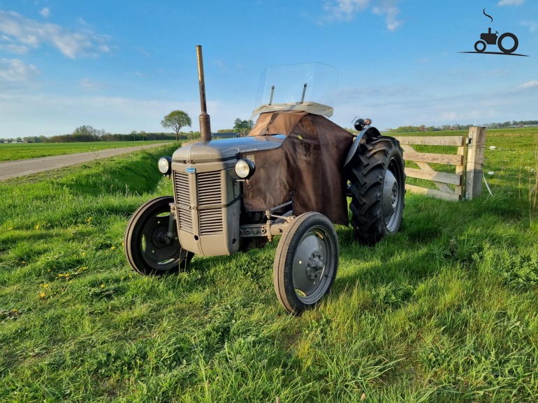 Foto Ferguson TEF 20 #1469443
