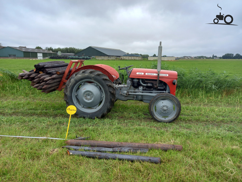 Foto Ferguson TEF 20 #1482231