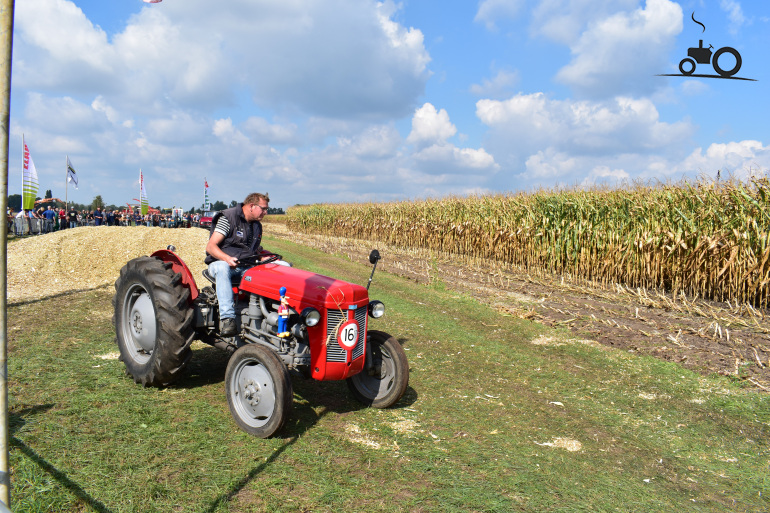 Foto Ferguson TEF 20 #1493040