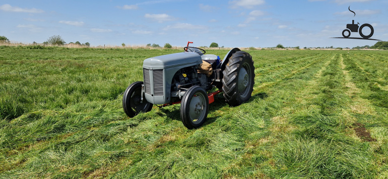 Foto Ferguson TEF 20 #1520424