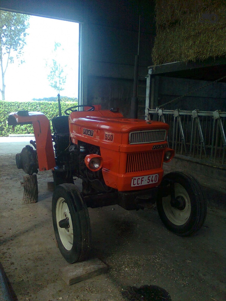 Fiat 550 - Schweiz - Traktor foto #344281