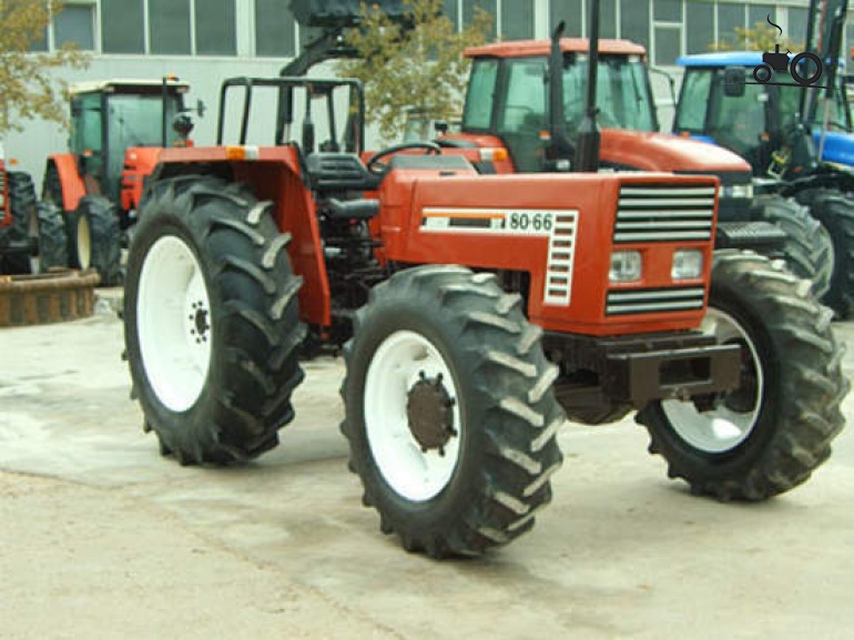 Fiat 80-66 - United Kingdom - Tractor picture #36078