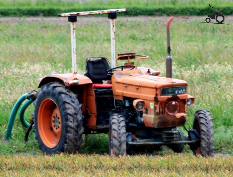 Fiat 550 - Schweiz - Traktor foto #510703