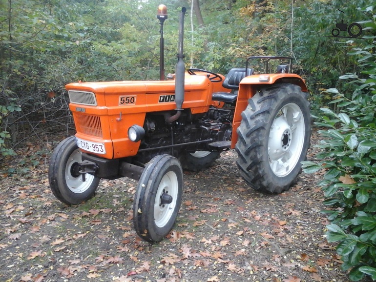 Fiat 550 - Schweiz - Traktor foto #940804