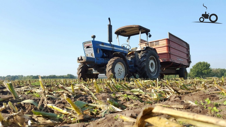 Foto Ford 6500 #949850