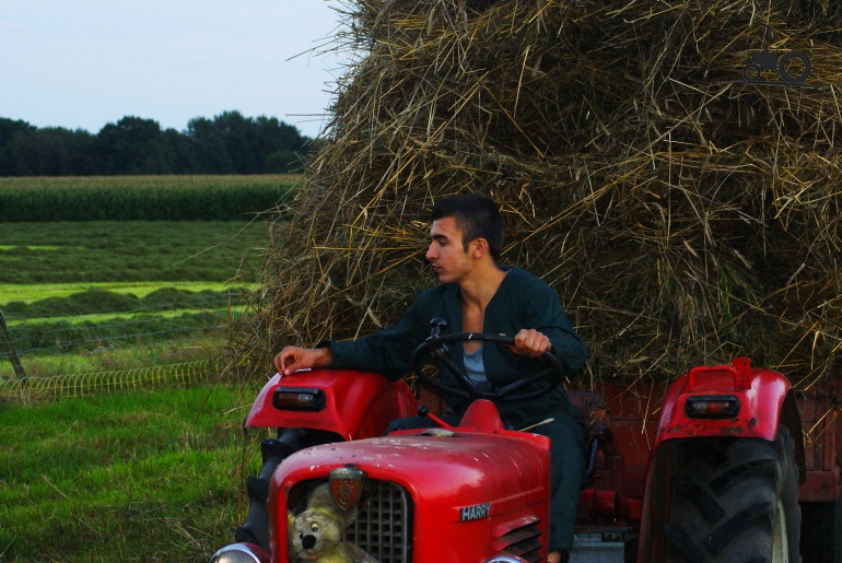 Foto Guldner G25 #532711