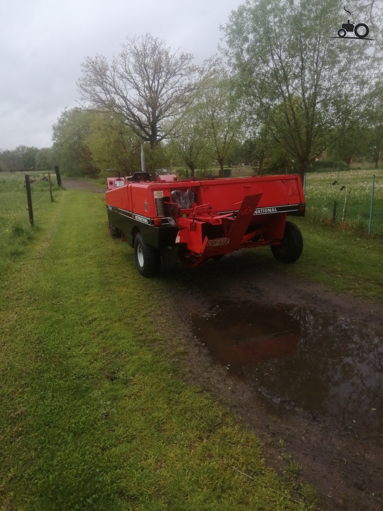 Foto International 553 (balenpers) #1417223