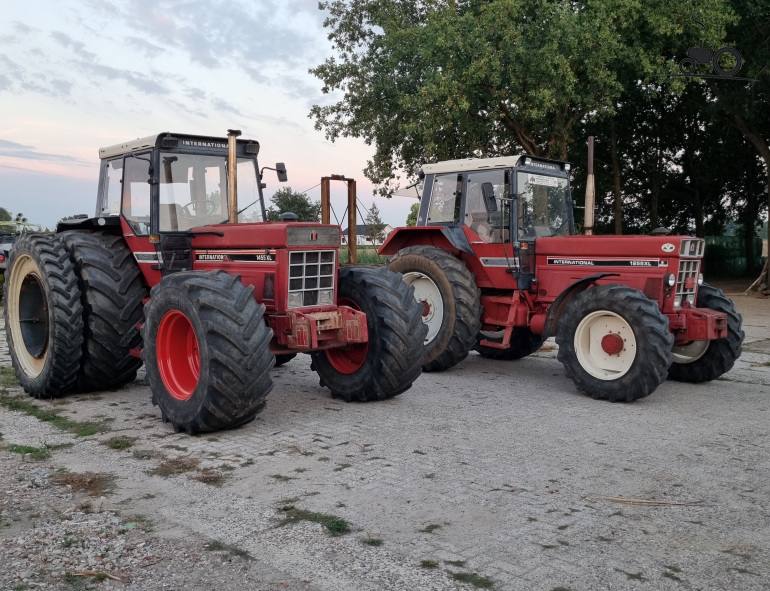 International 1455 en 1255