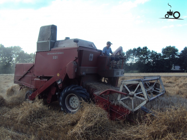 Foto International 321 #781410