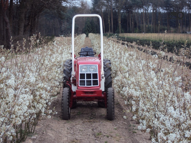 Foto International 433 #848726