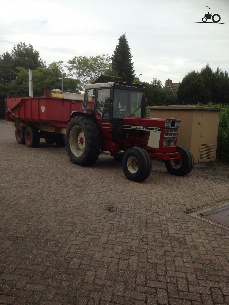 Foto International 955 #925538