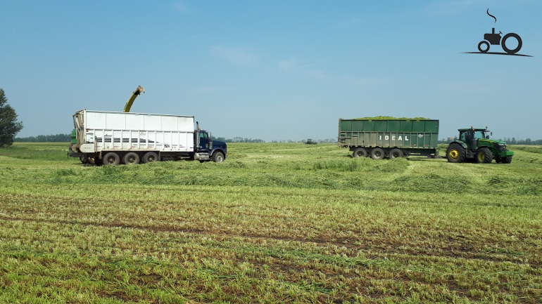 Foto John Deere 7290R #1246016