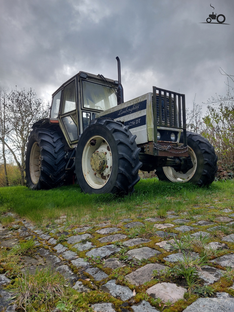 Foto Lamborghini 1356 DT #1514964