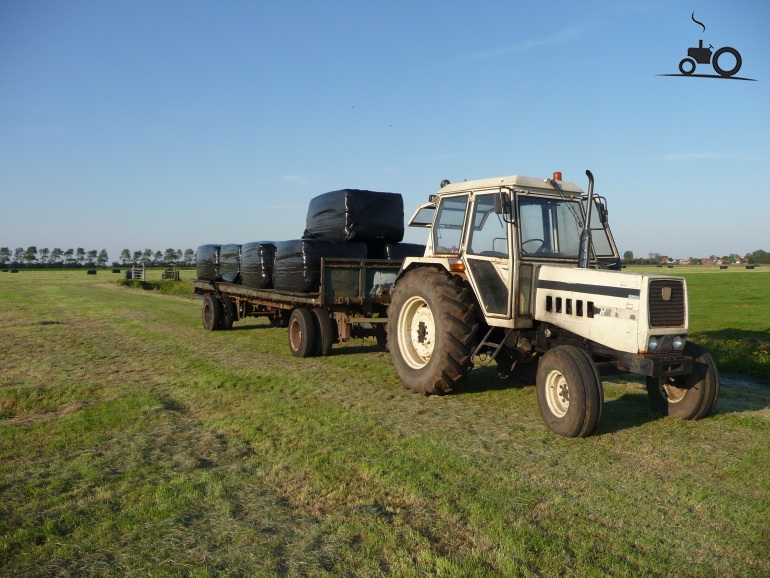 Foto Lamborghini R 854 #665948